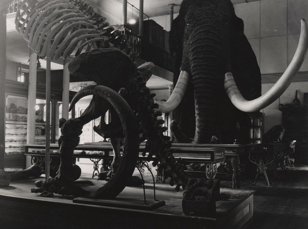 The Mystery of Brooks Hall—VIRGINIA Magazine